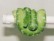 Python vert arboricole - Centerblog